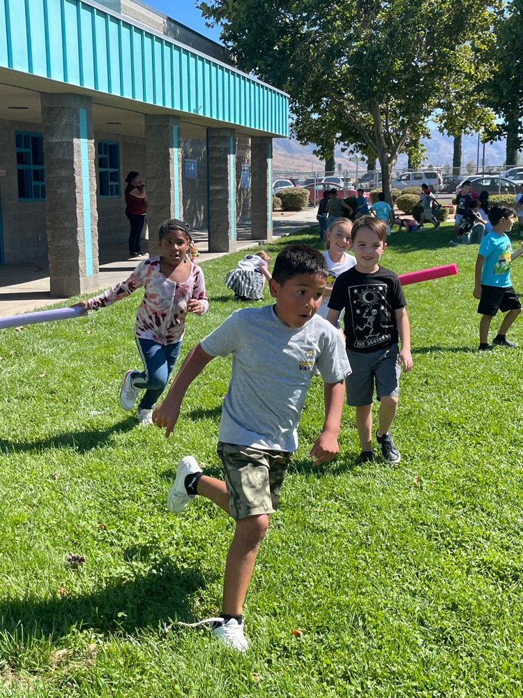 Live Feed | Carmel Elementary School